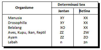 BIOLOGI GONZAGA: MACAM - POLA HEREDITAS ANOMALIA TEORI MENDEL